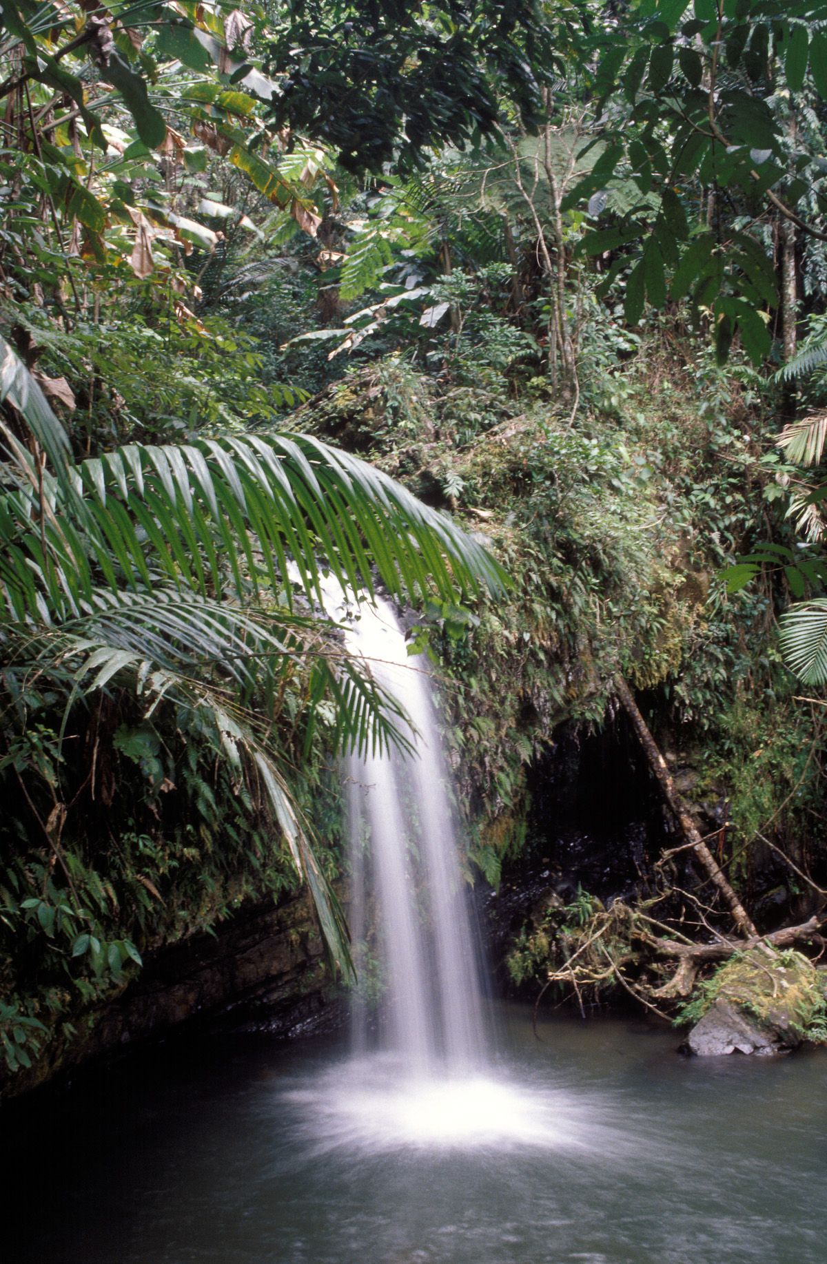 Puerto Rico | Fotograaf Dirk Verwoerd, reis-en stockfotografie