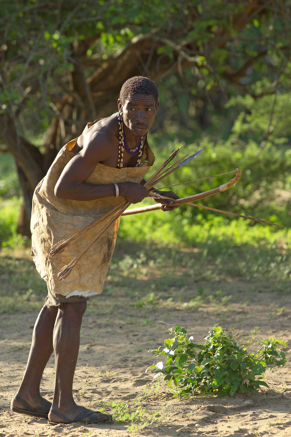 Bosjesman op jacht, Tanzania | Fotograaf Dirk Verwoerd, reis-en ...